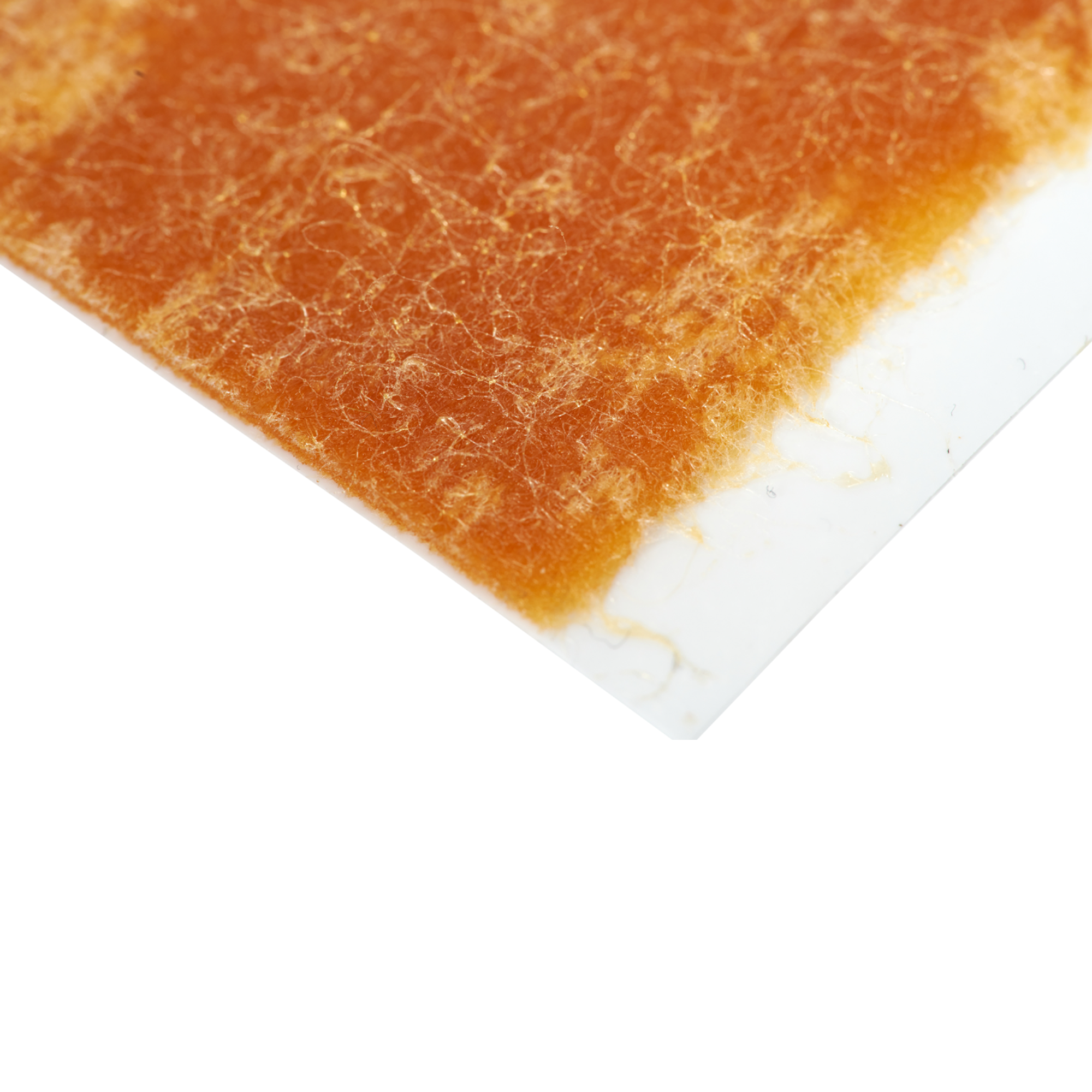 Kruuse Manuka Honey AD 10cm x 100cm - Molloy Veterinary