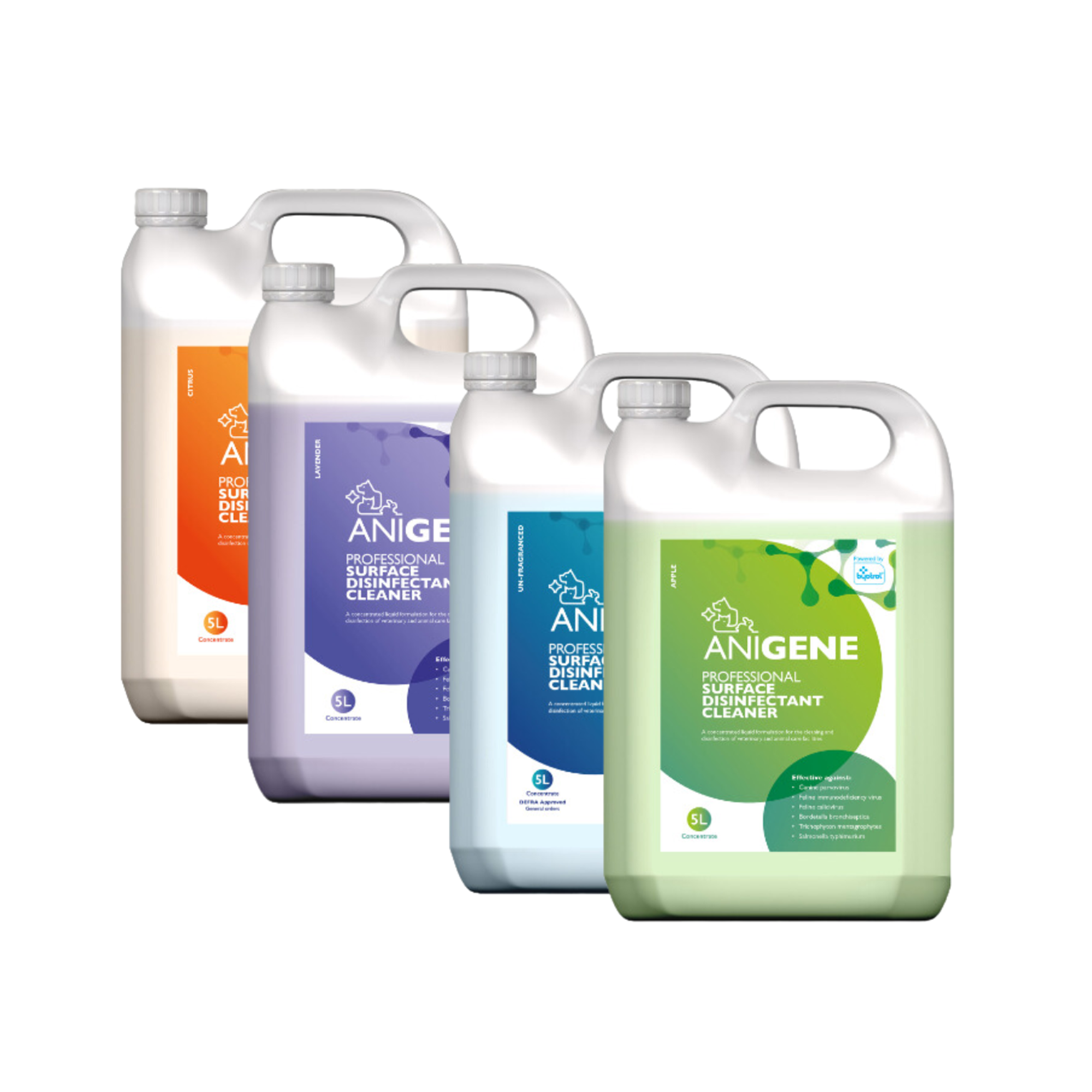 Anigene High Level Surface Disinfectant 5 L - Molloy Veterinary